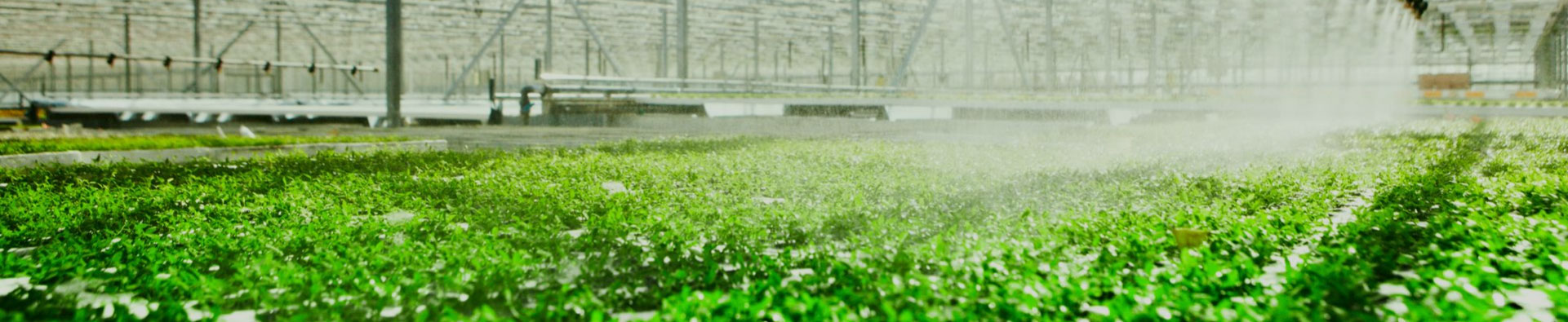 Irrigation - Flo-Tek